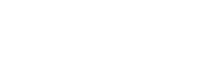 About - Celerity Risk